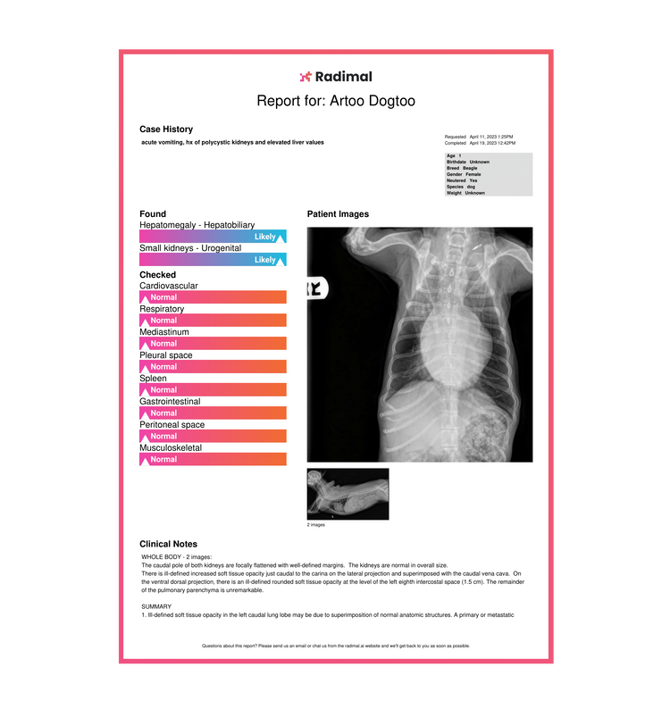 Board-certified Radiology Reports plus Free PACS with AI - Radimal